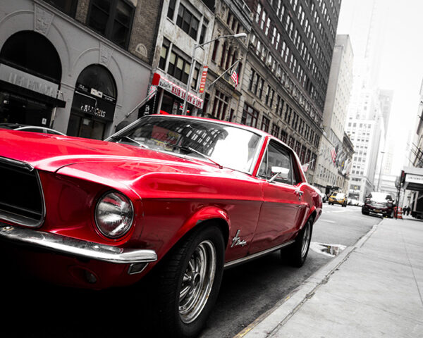 Ford Mustang Photograph in New York - Cars and Roses
