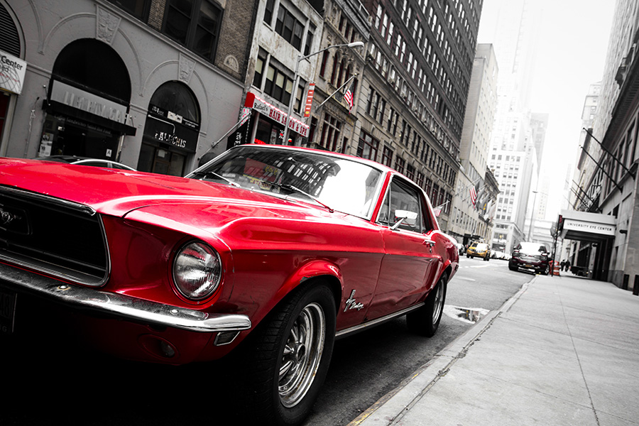 Ford Mustang Photograph in New York - Cars and Roses